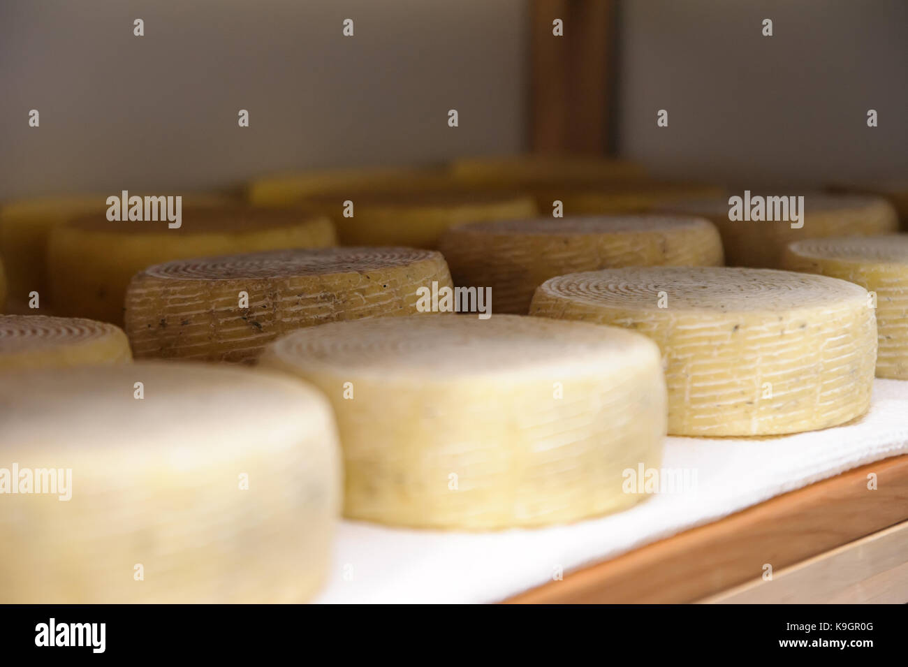 Racks dairy hi-res stock photography and images - Alamy