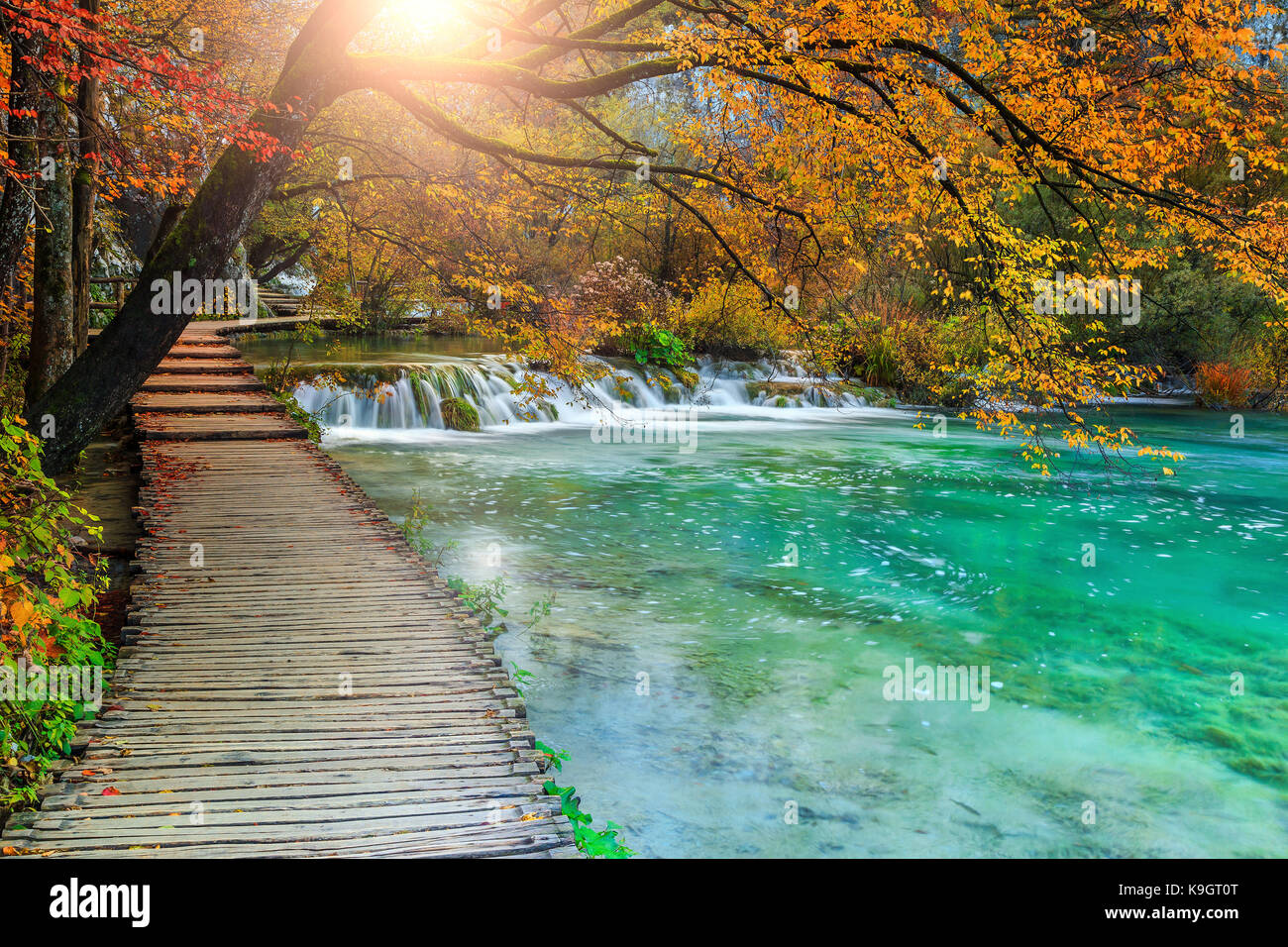 Stunning touristic wooden pathway in the colorful deep forest with ...