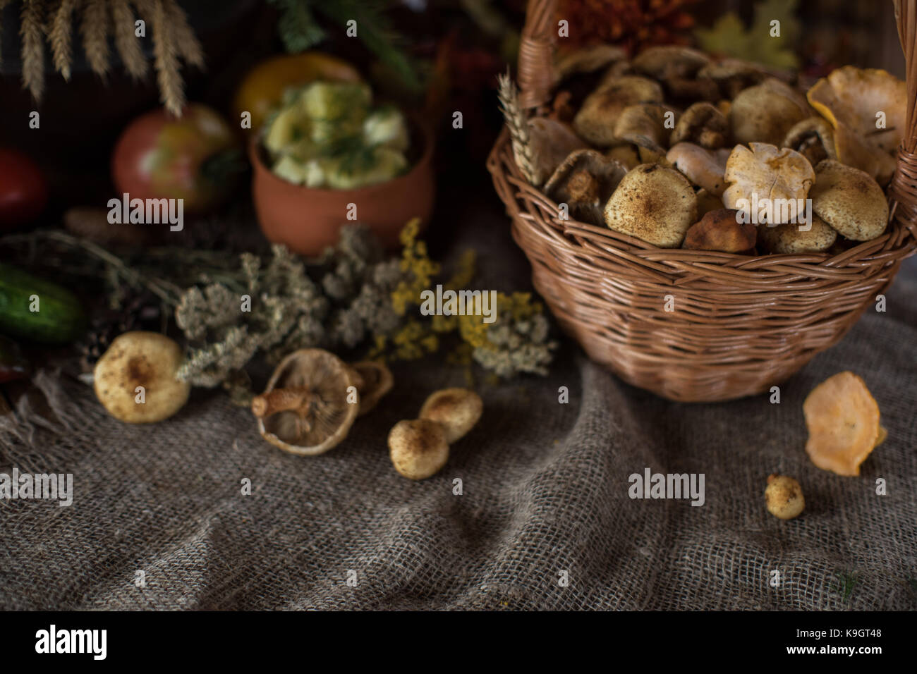 autumn nature gifts Stock Photo - Alamy