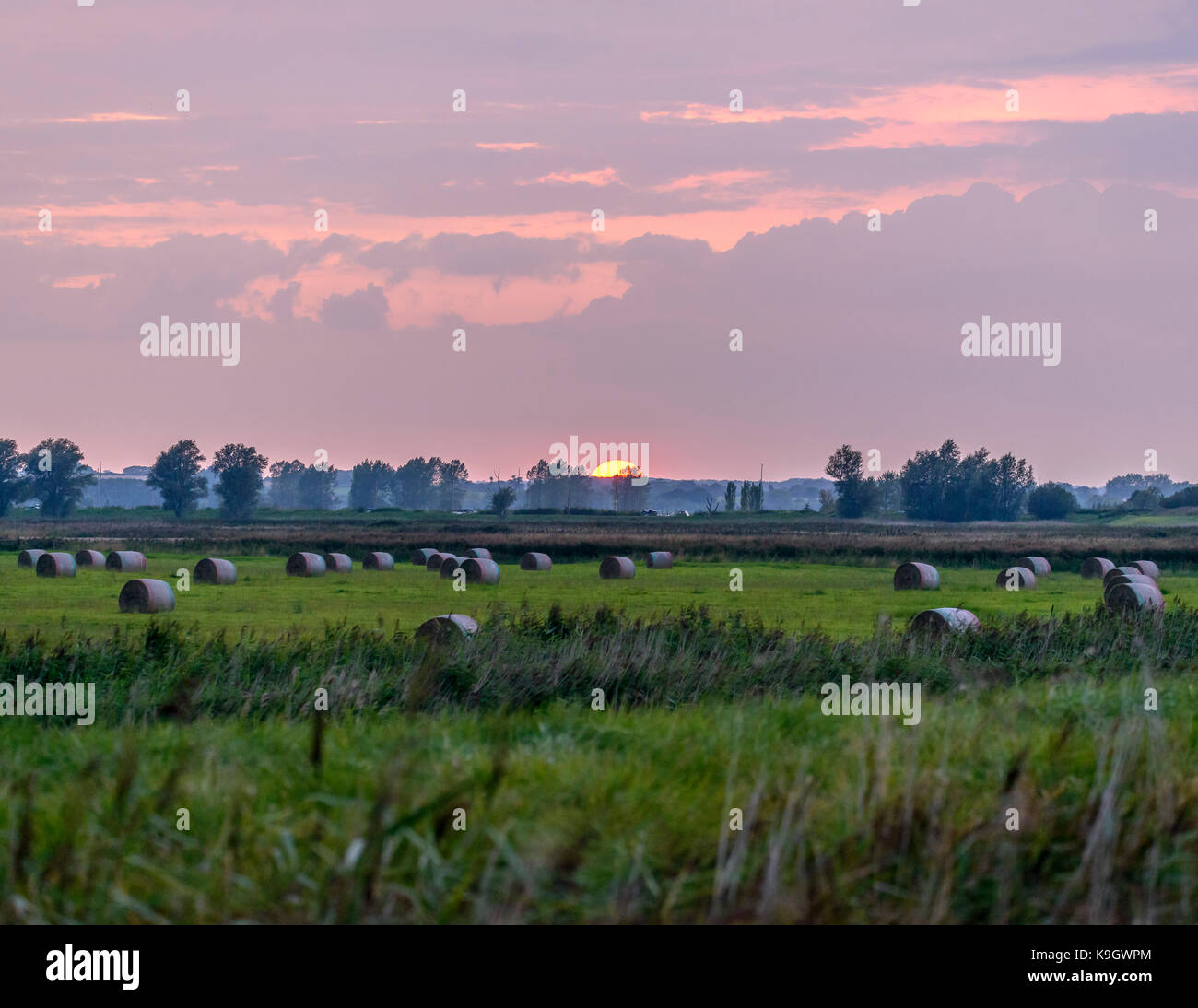 Sunset Somerleyton Norfolk Broads East Coast East anglia England UK ...