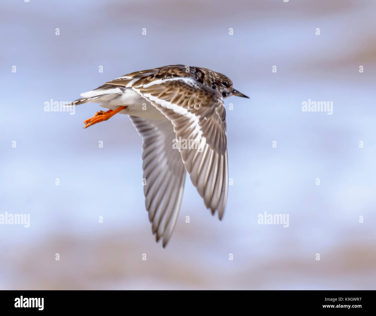 Hunstanton stone hi-res stock photography and images - Alamy