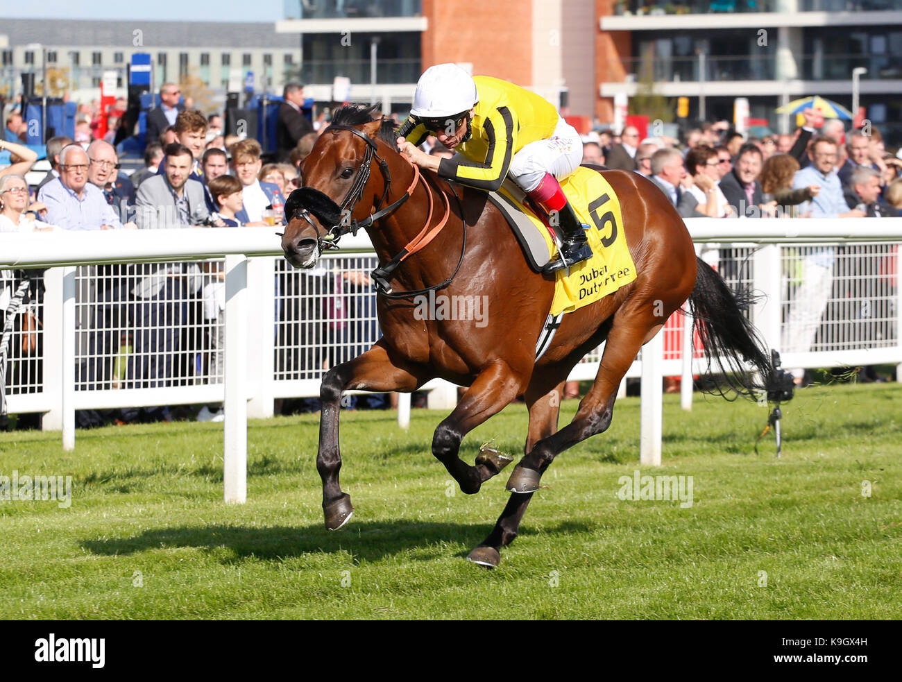 Mill reef horse hi-res stock photography and images - Alamy