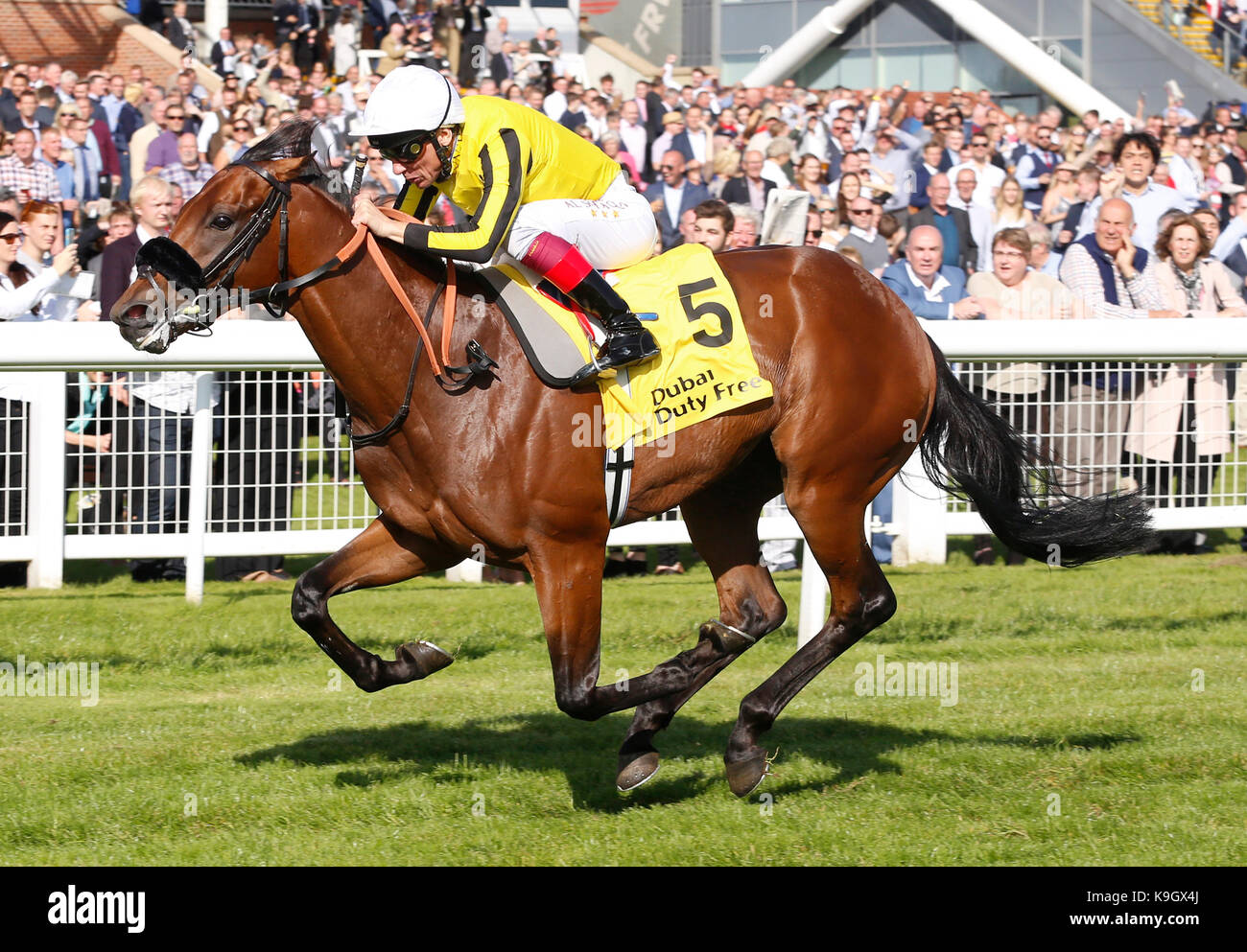Mill reef horse hi-res stock photography and images - Alamy
