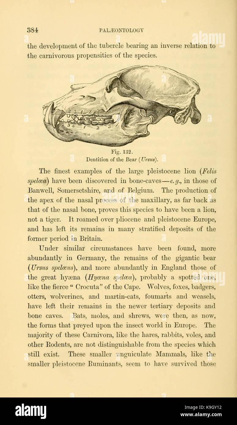 Palaeontology, or, A systematic summary of extinct animals and their ...
