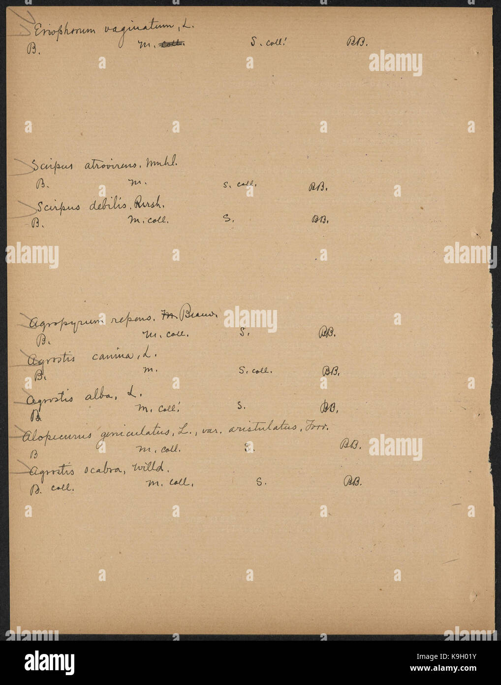Preliminary list of plants of the Metropolitan Park Reservations ((46 ...