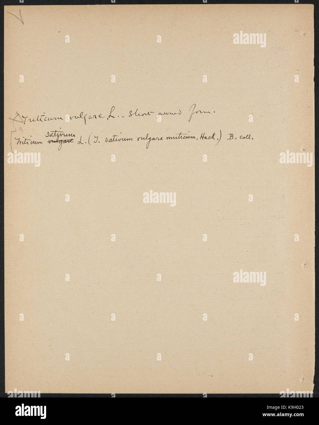 Preliminary list of plants of the Metropolitan Park Reservations ((50 ...