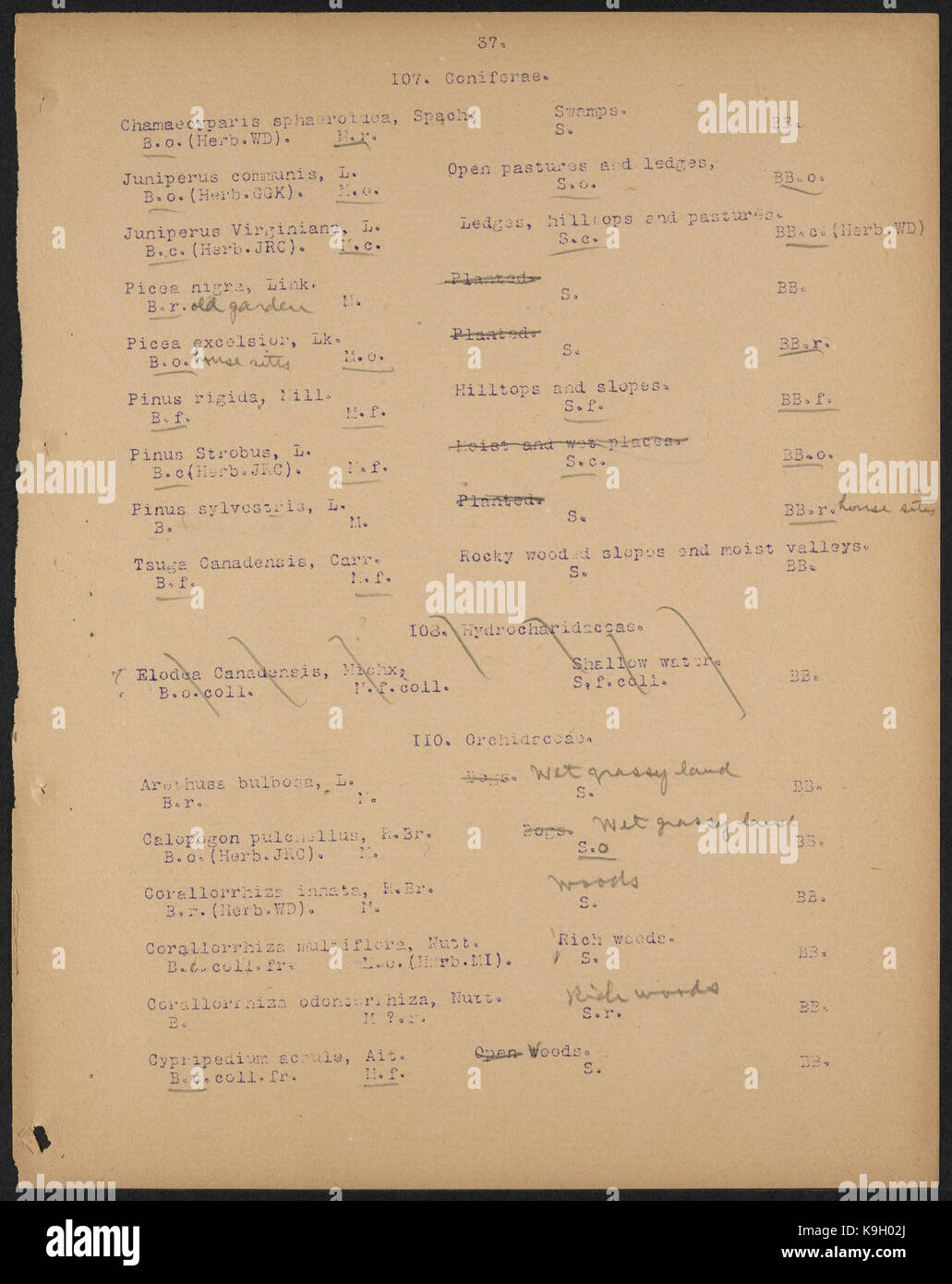 Preliminary list of plants of the Metropolitan Park Reservations,1895 ...