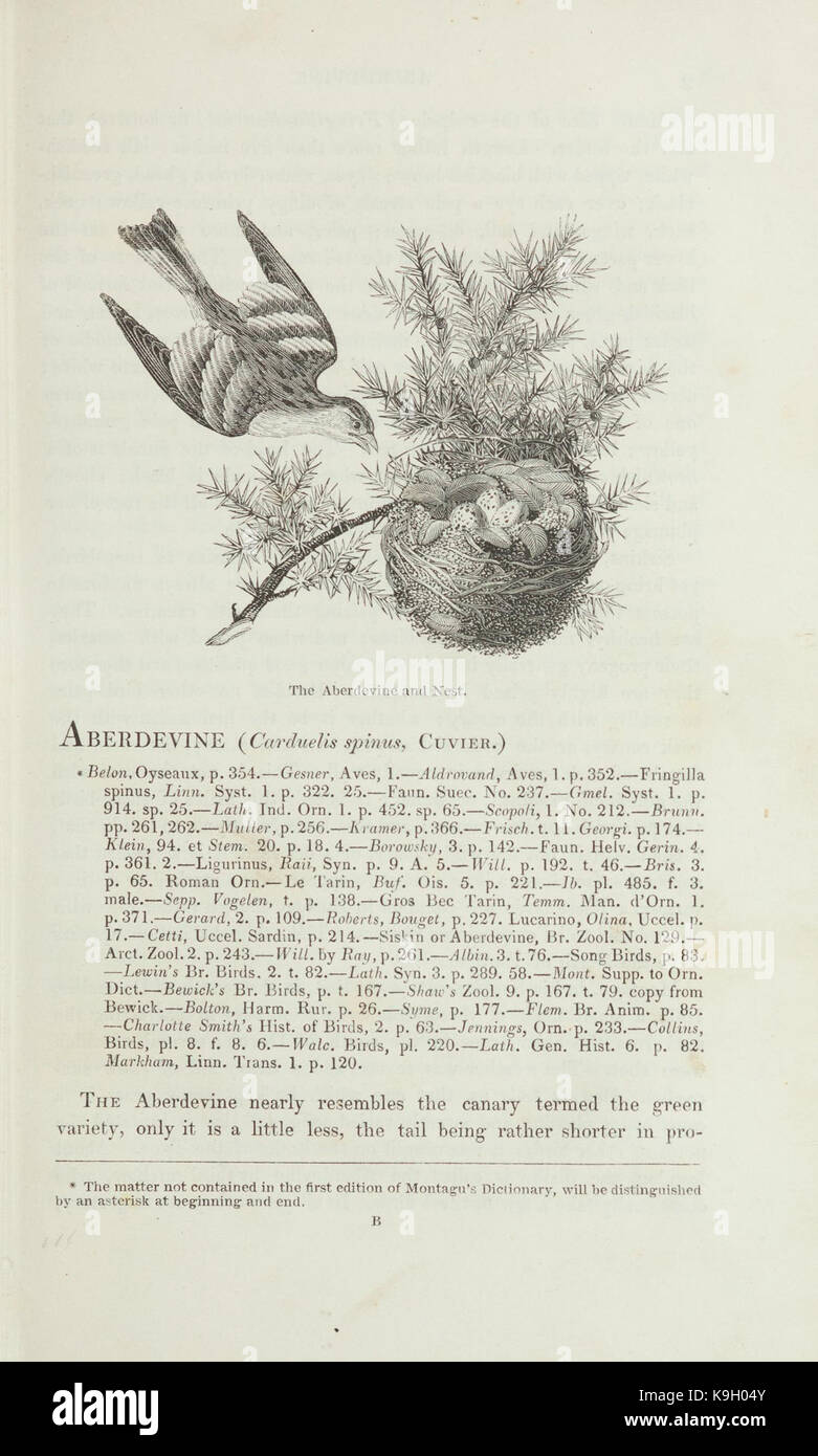 Ornithological dictionary of British birds (Page 1) BHL43750096 Stock ...
