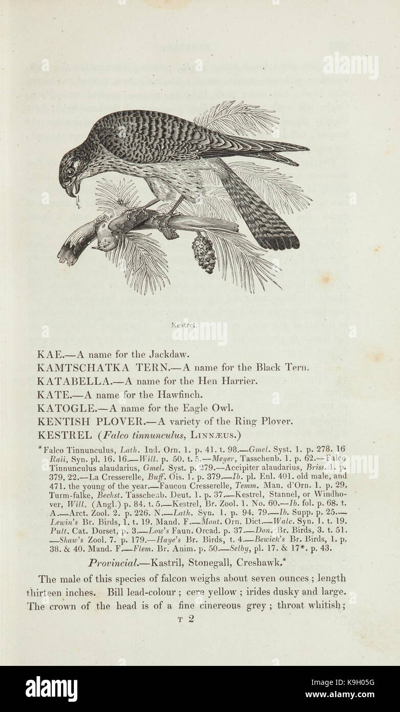 Ornithological dictionary of British birds (Page 275) BHL43750423 Stock ...