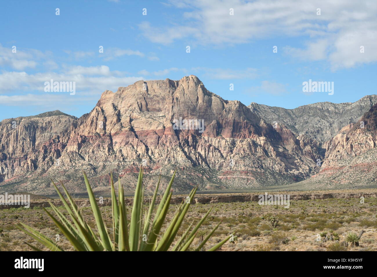 Mount Wilson Red Rock Canyon Las Vegas Nevada Stock Photo - Alamy