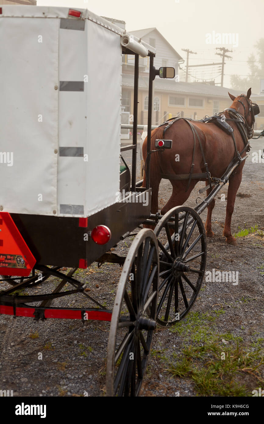 Amish horse horses buggy hi-res stock photography and images - Alamy