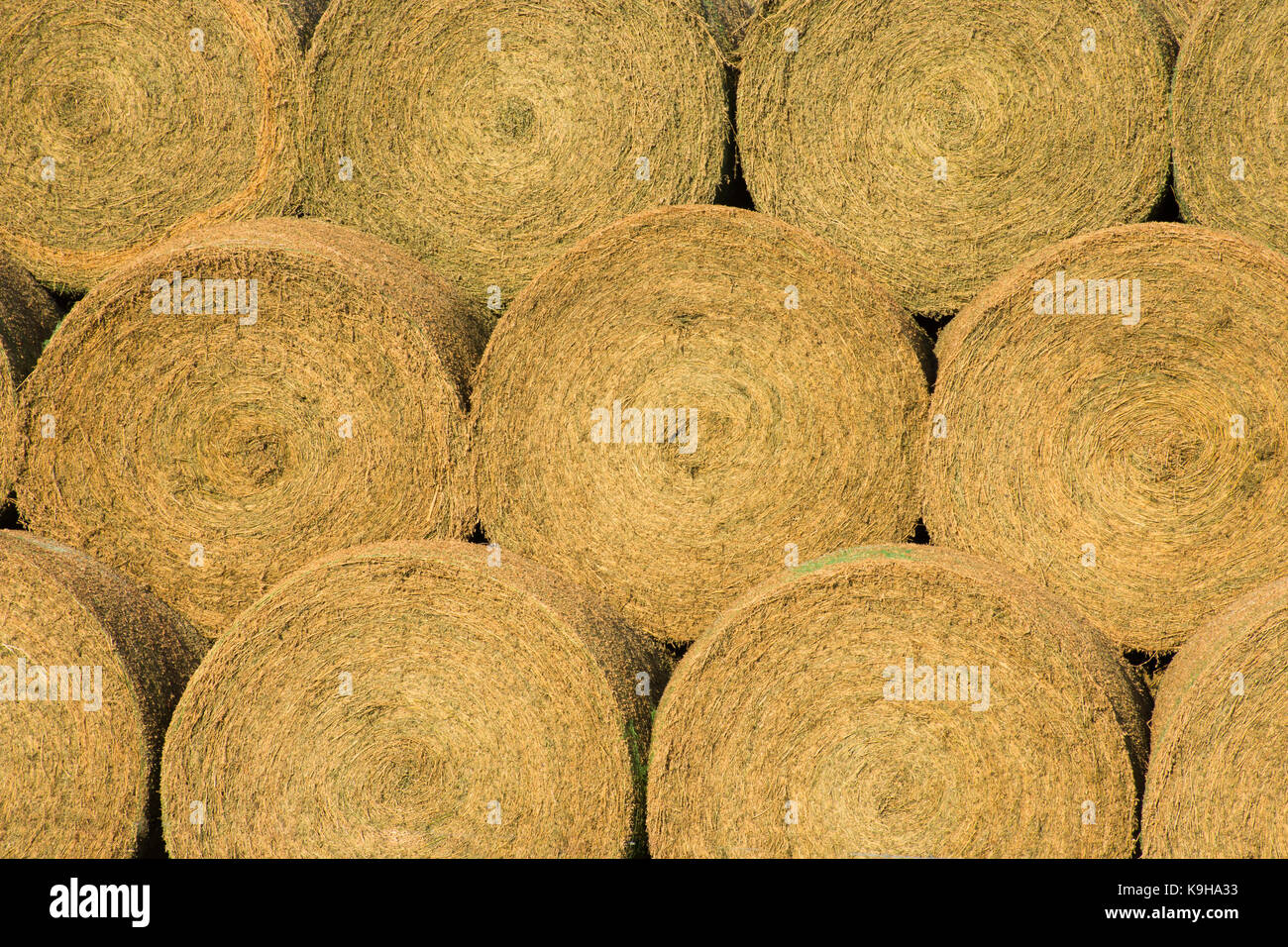 Stacked Round Hay Bales Stock Photos & Stacked Round Hay Bales Stock ...
