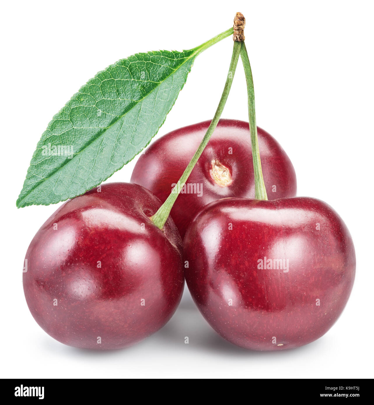 Three cherries with leaf isolated on a white background Stock Photo - Alamy