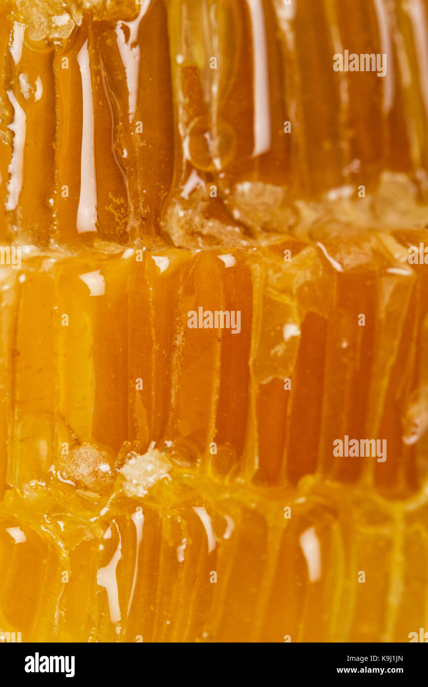 Fresh honey in comb Stock Photo - Alamy
