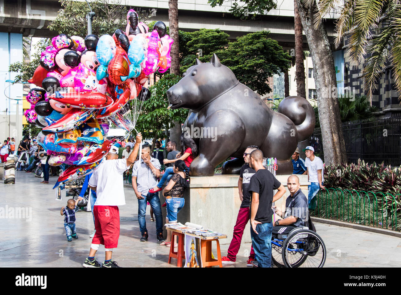 Latin american dog perro hi-res stock photography and images - Alamy