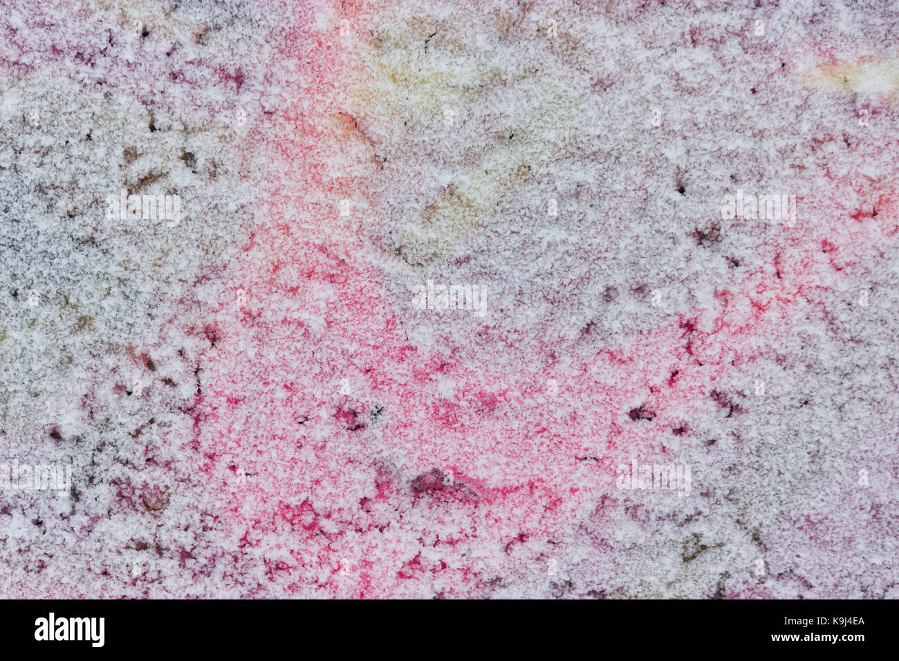 colorful background with natural crystal texture. frozen wall Stock ...