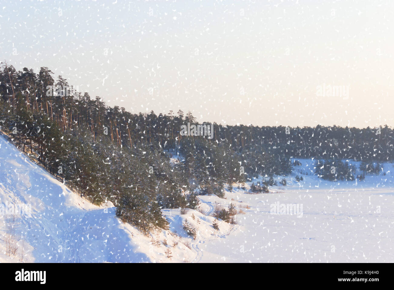 the winter forest. very cold and a lot of snow. russia Stock Photo - Alamy