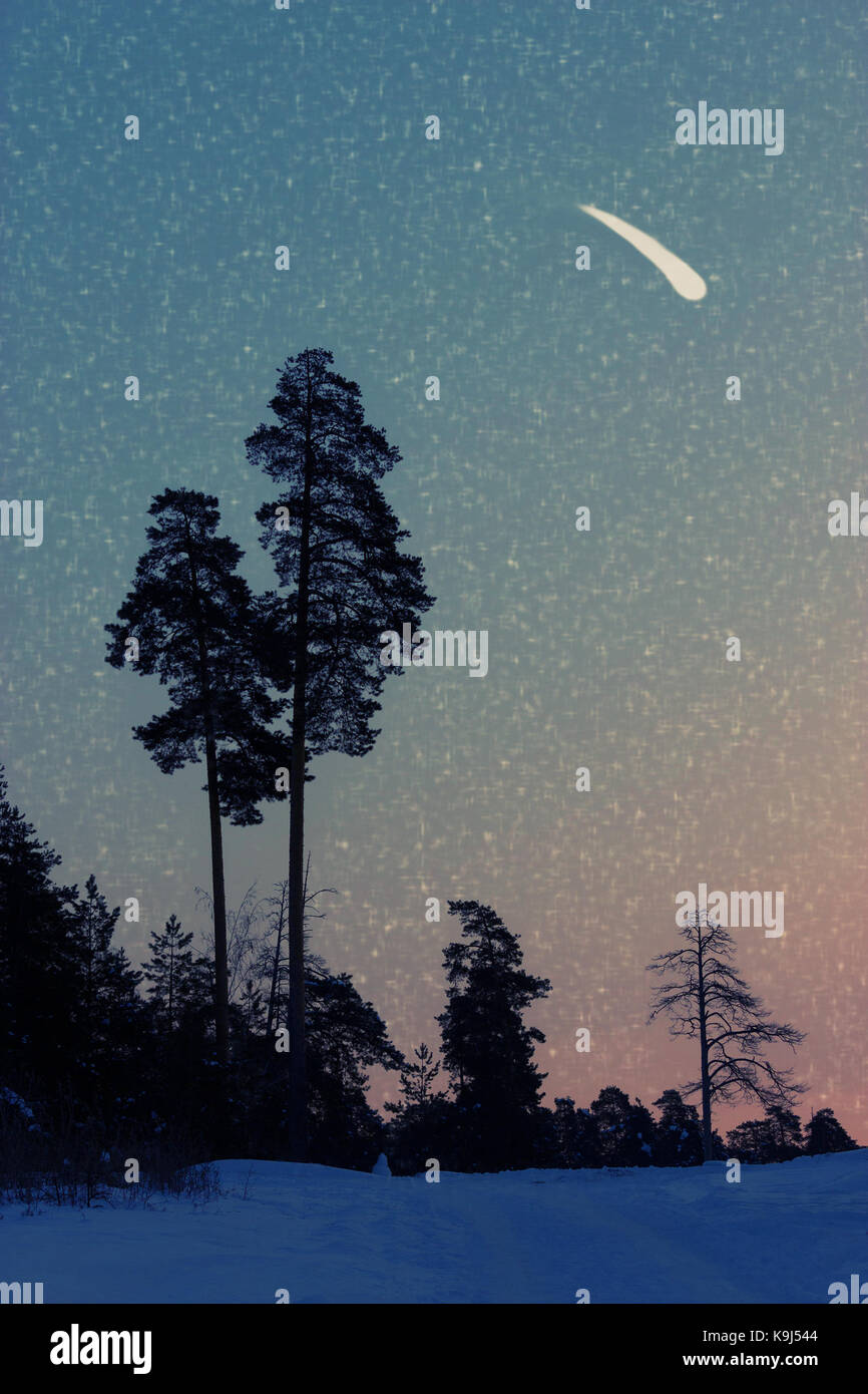 falling stars in the forest. make a wish concept Stock Photo - Alamy