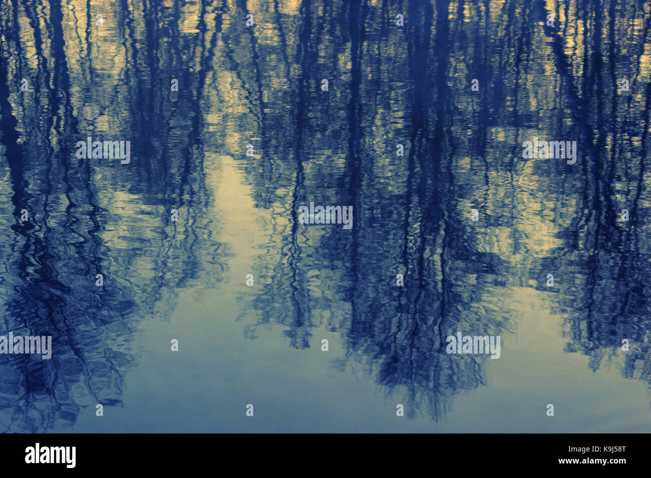 winter landscape lake. reflection of trees in water Stock Photo - Alamy