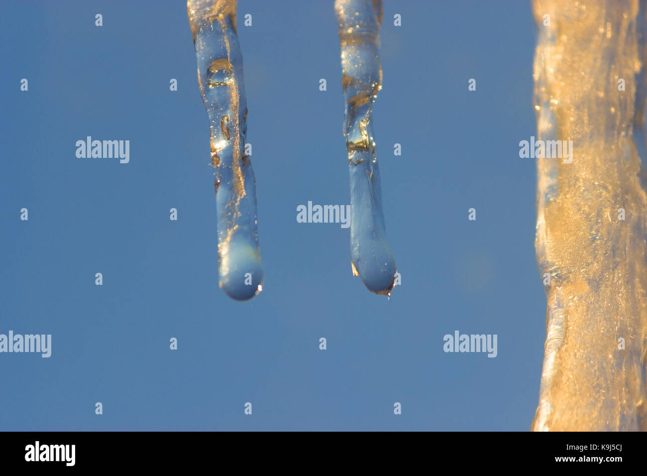 icecle on a background of blue sky. winter concept Stock Photo - Alamy