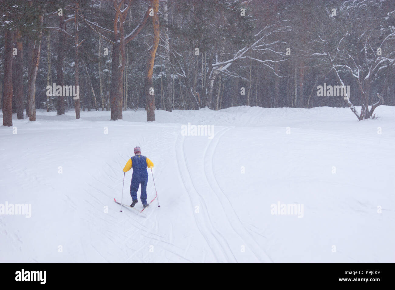 Skier moving very fast in forest. healthy lifestyle Stock Photo - Alamy