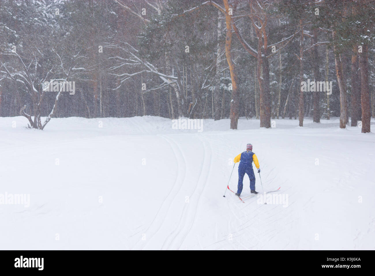 Skier moving very fast in forest. healthy lifestyle Stock Photo - Alamy