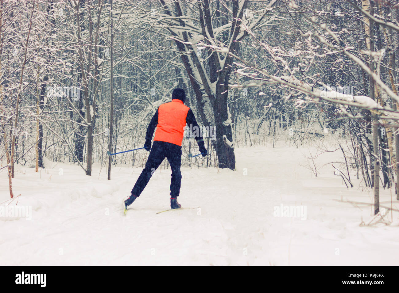 Skier moving very fast in forest. healthy lifestyle Stock Photo - Alamy
