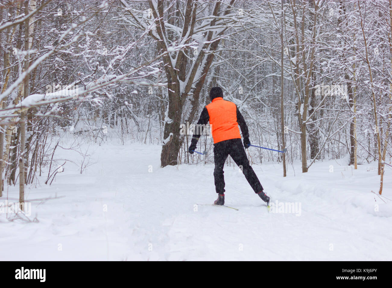 Skier moving very fast in forest. healthy lifestyle Stock Photo - Alamy