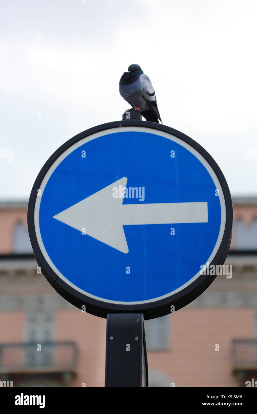 Traffic sign With an Arrow Pointing to the Left Stock Photo - Alamy