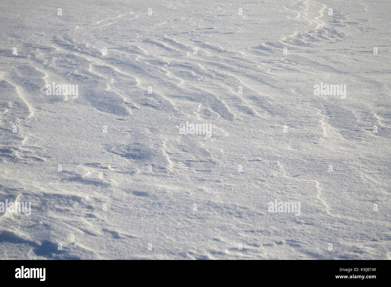 White snow wind hi-res stock photography and images - Alamy
