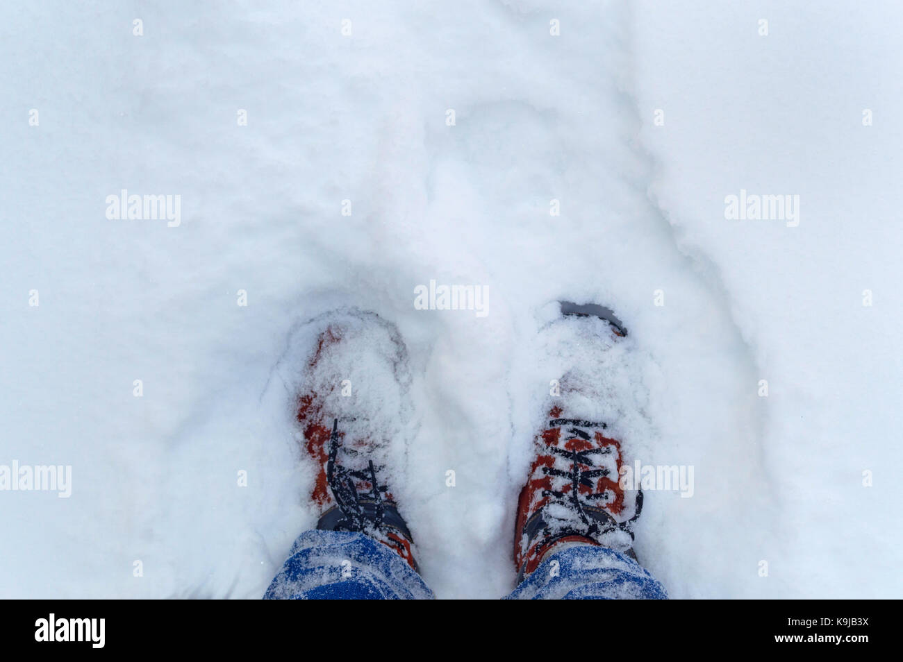 human legs in snow Stock Photo - Alamy