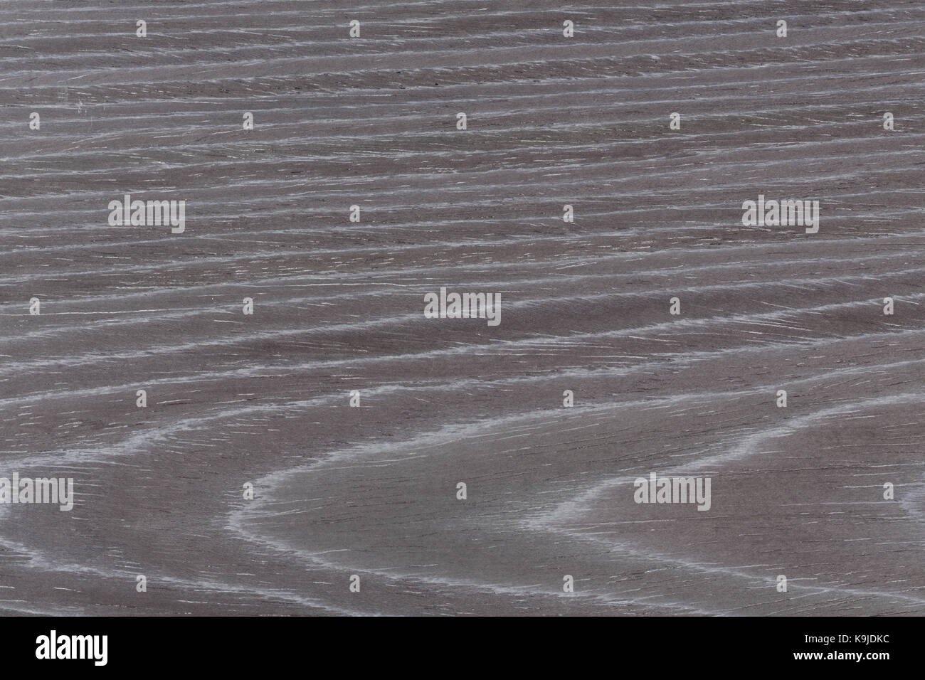 Gray Walnut background with natural patterns. Extremely high resolution ...
