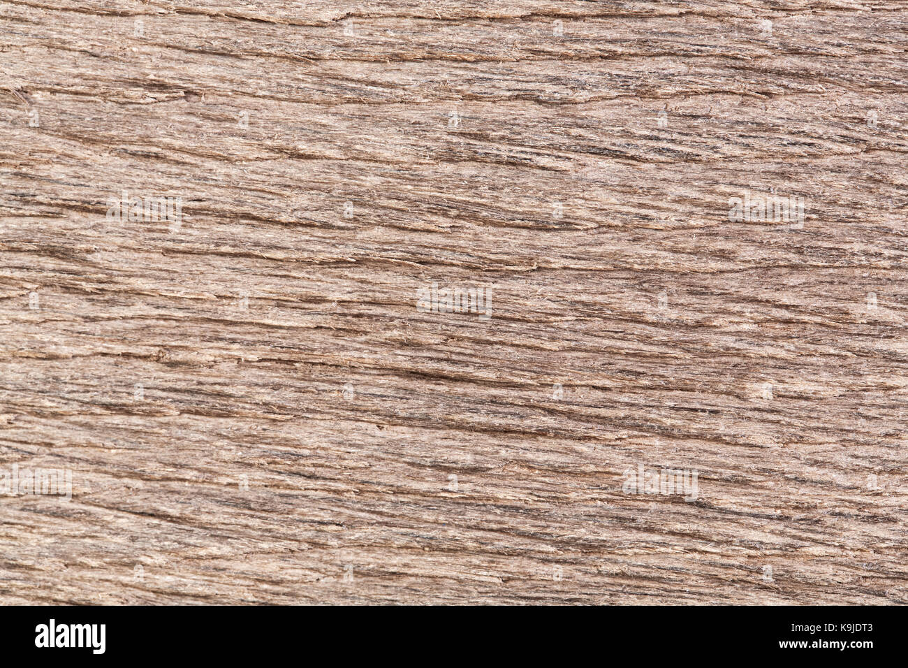 Natural wood bog oak texture background. High resolution photo Stock ...