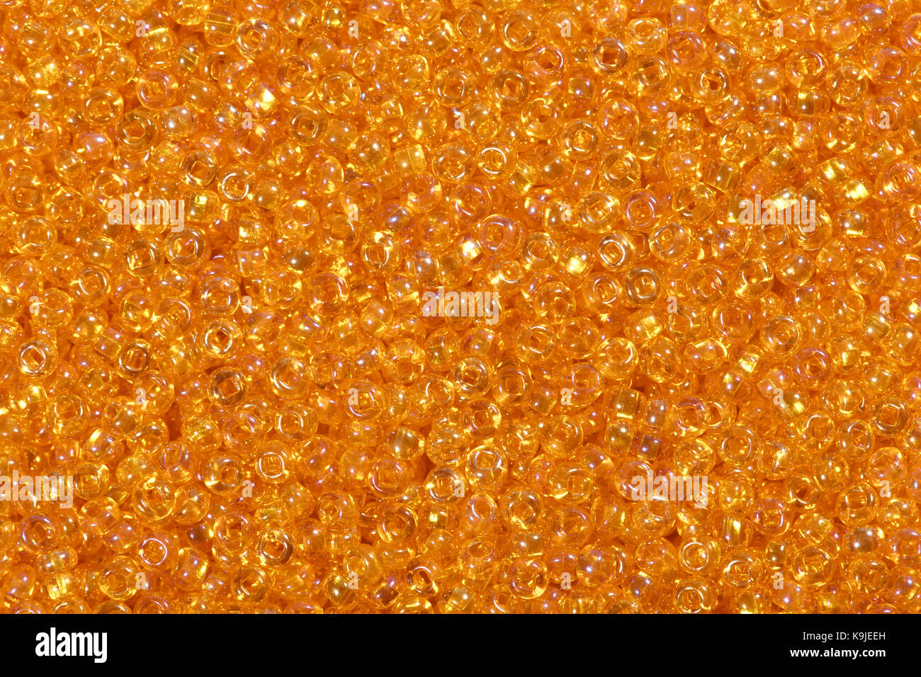 Orange Colored Seeds