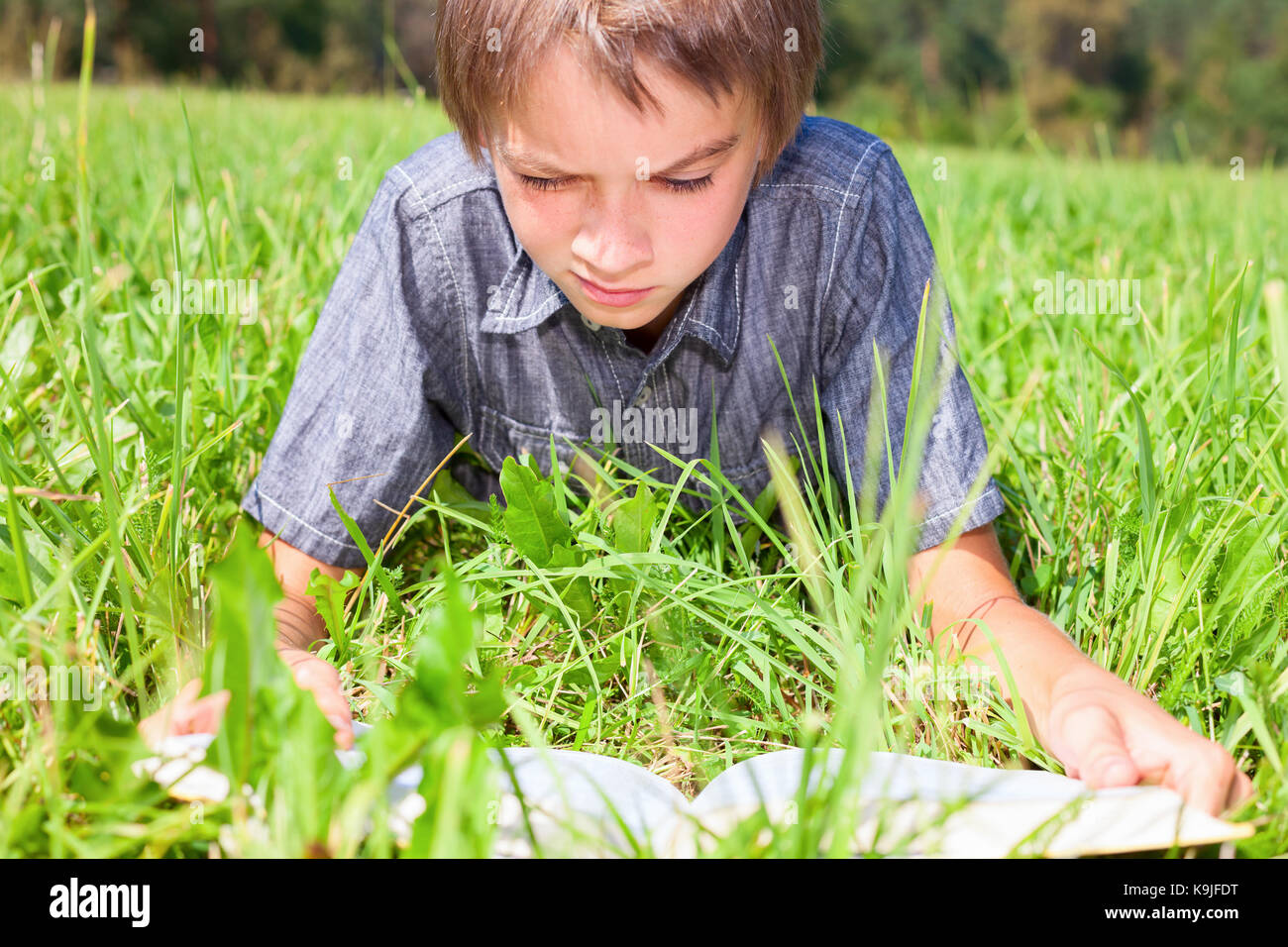 Boy reading a book laying on the sunny meadow in a summer park Stock ...