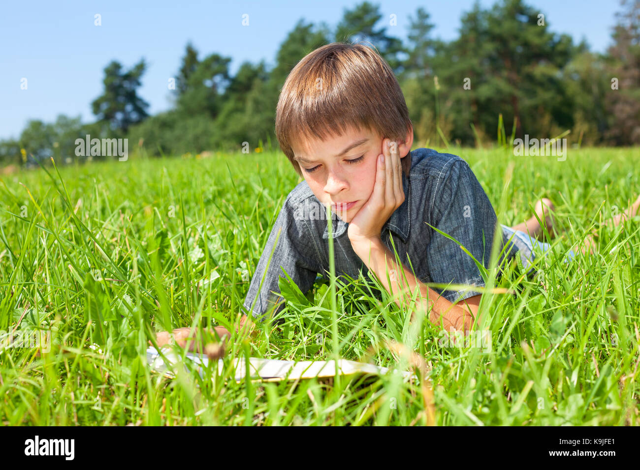 Boy lying in grass reading a book in a summer field Stock Photo - Alamy