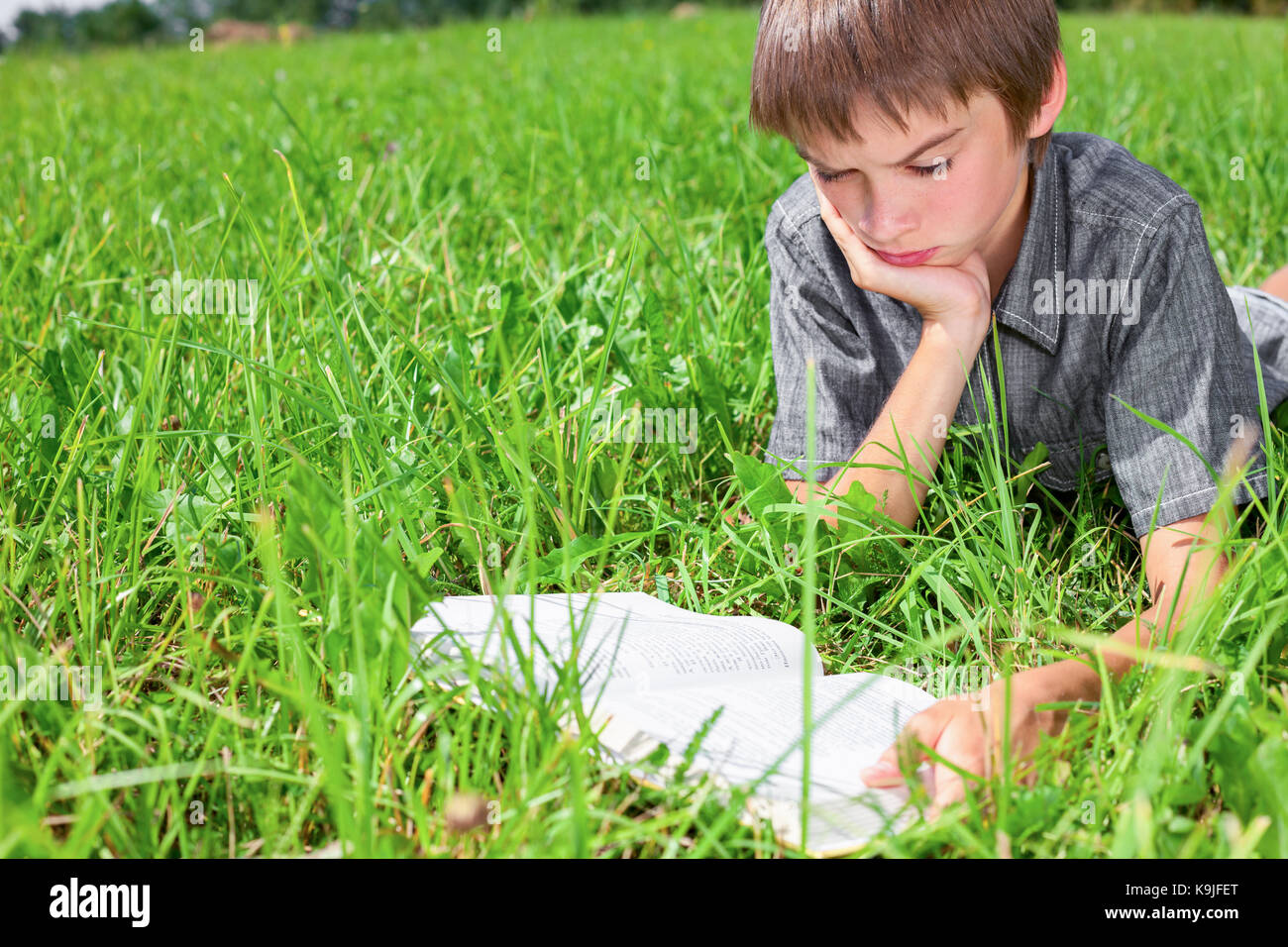 Boy lying in grass reading a book in a summer field Stock Photo - Alamy