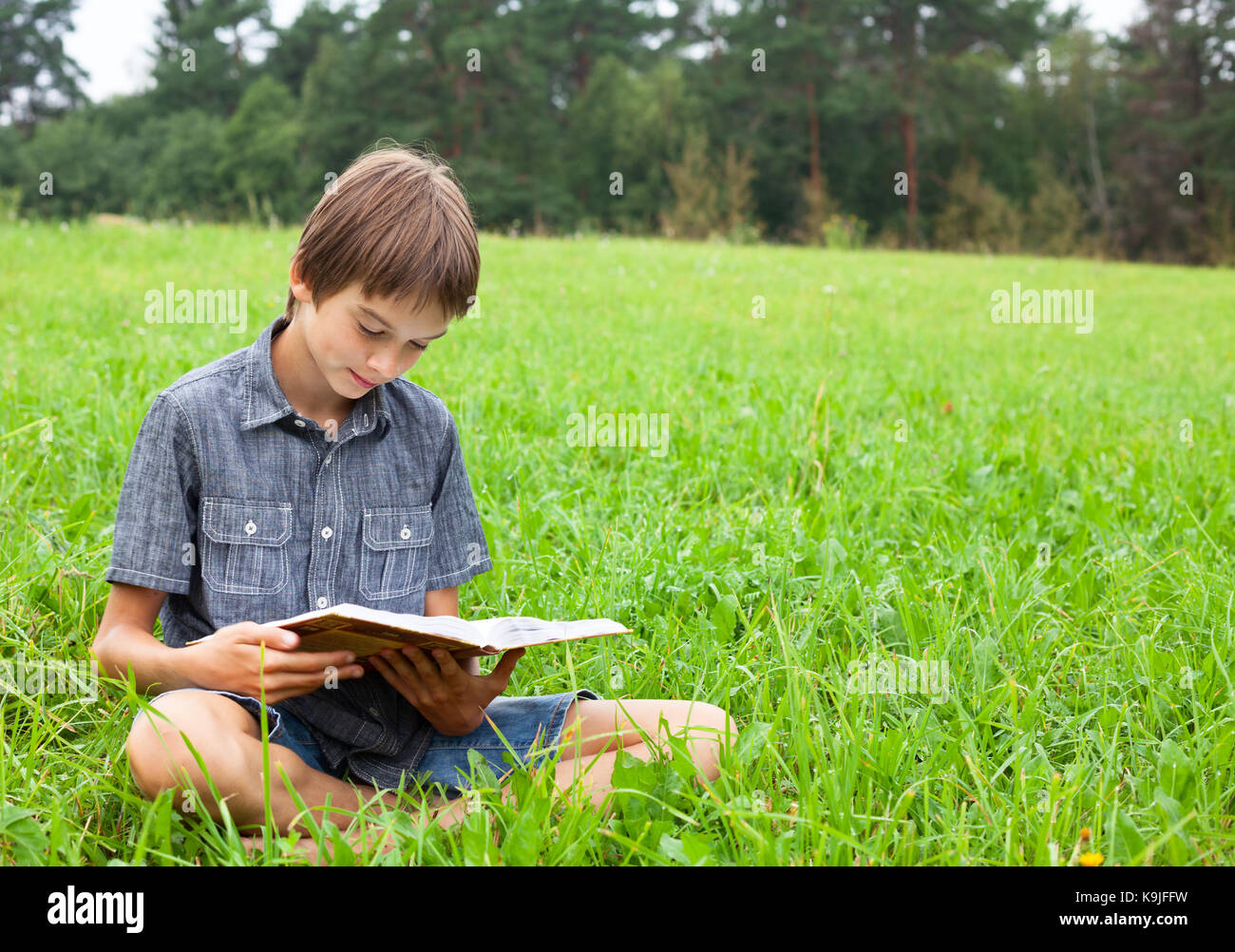 Boy sitting in grass reading a book in a summer field Stock Photo - Alamy