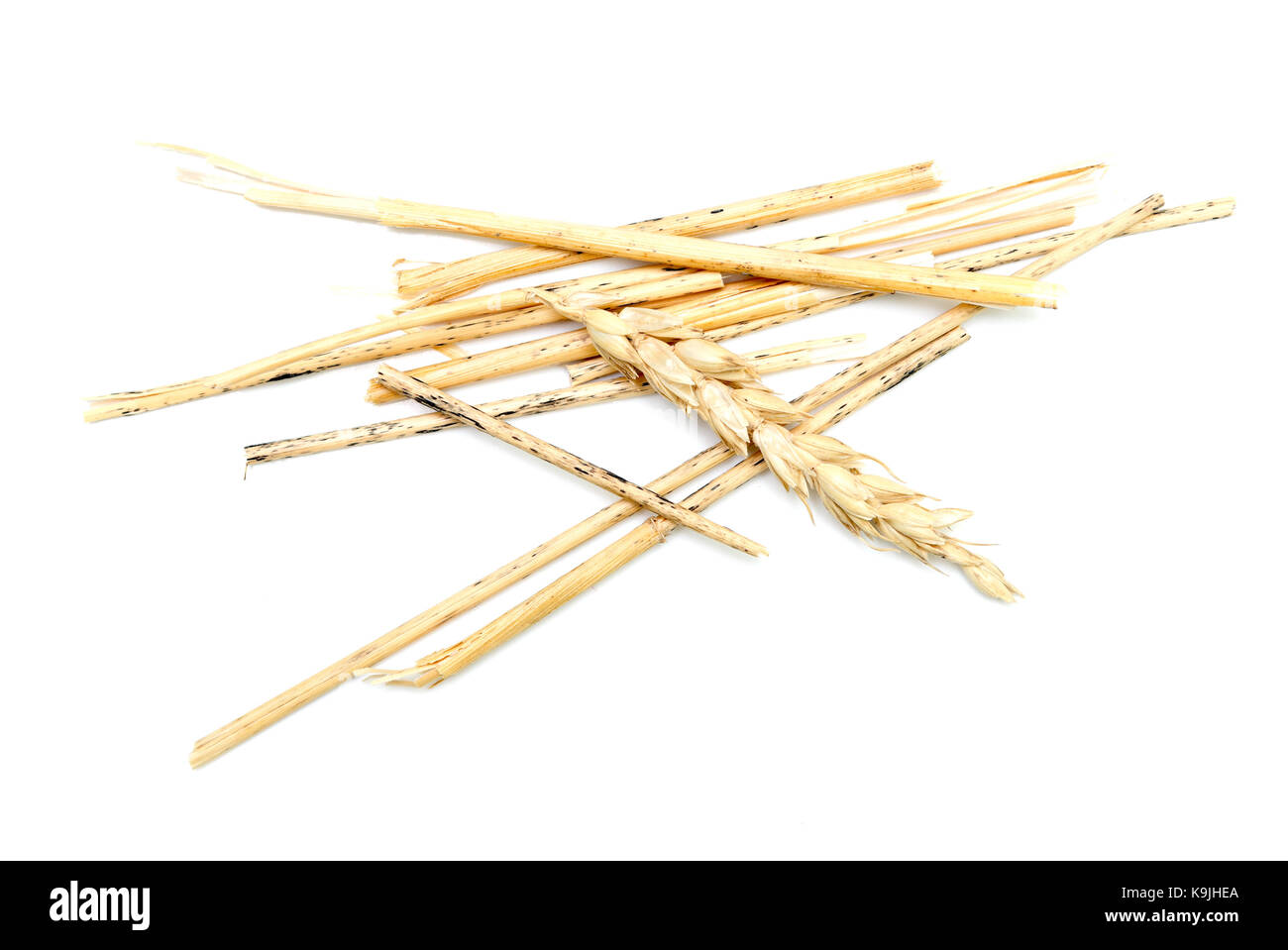 pile of straw isolated on white background Stock Photo - Alamy