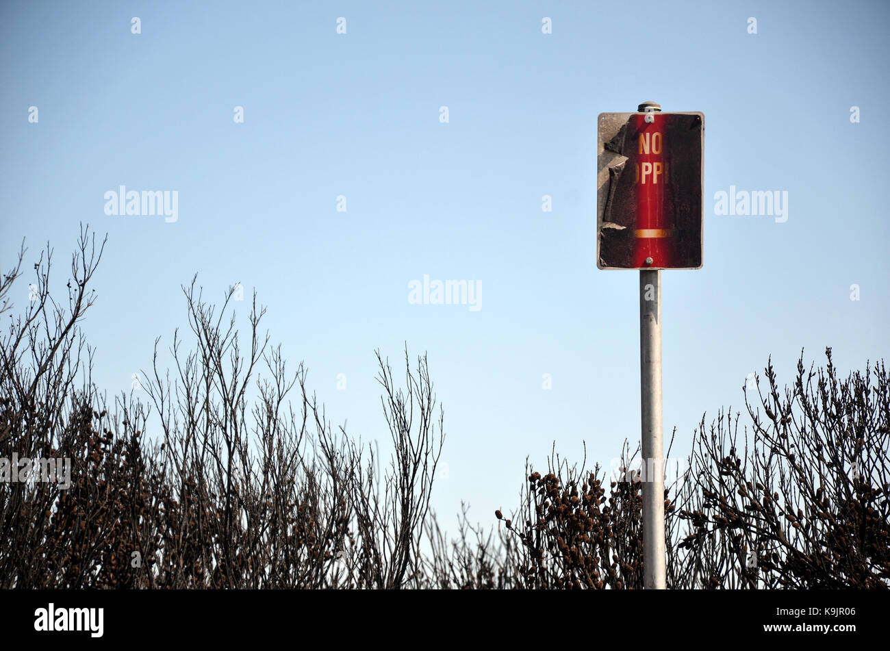 No Stopping sign burnt by a bushfire on a road through Kamay Botany Bay ...