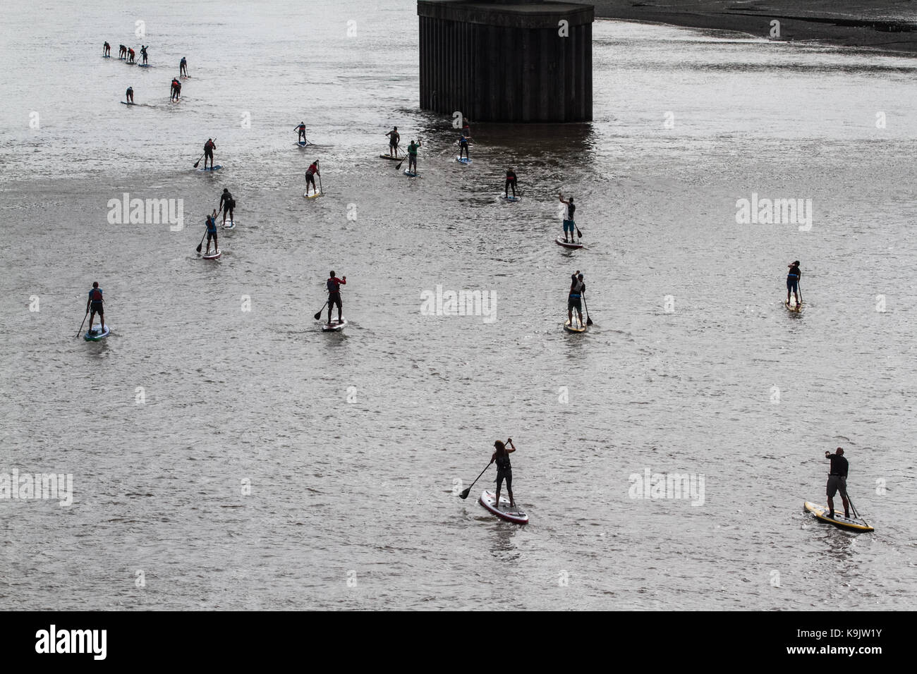 Paddleboarding on river thames hi-res stock photography and images - Alamy