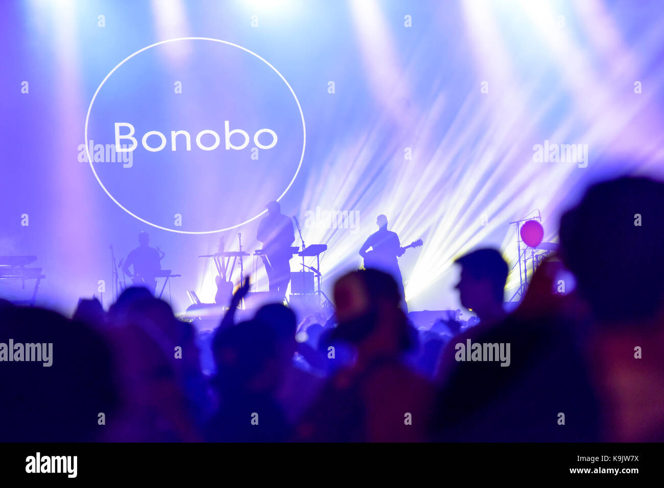 Bonobo Music Wallpaper