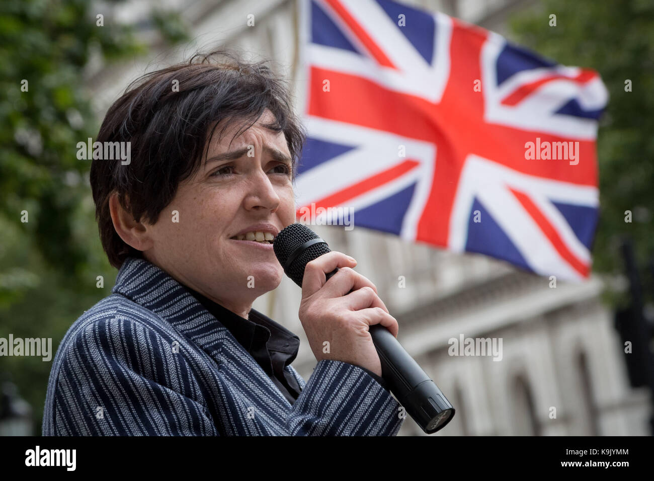 Ukip flag hi-res stock photography and images - Alamy