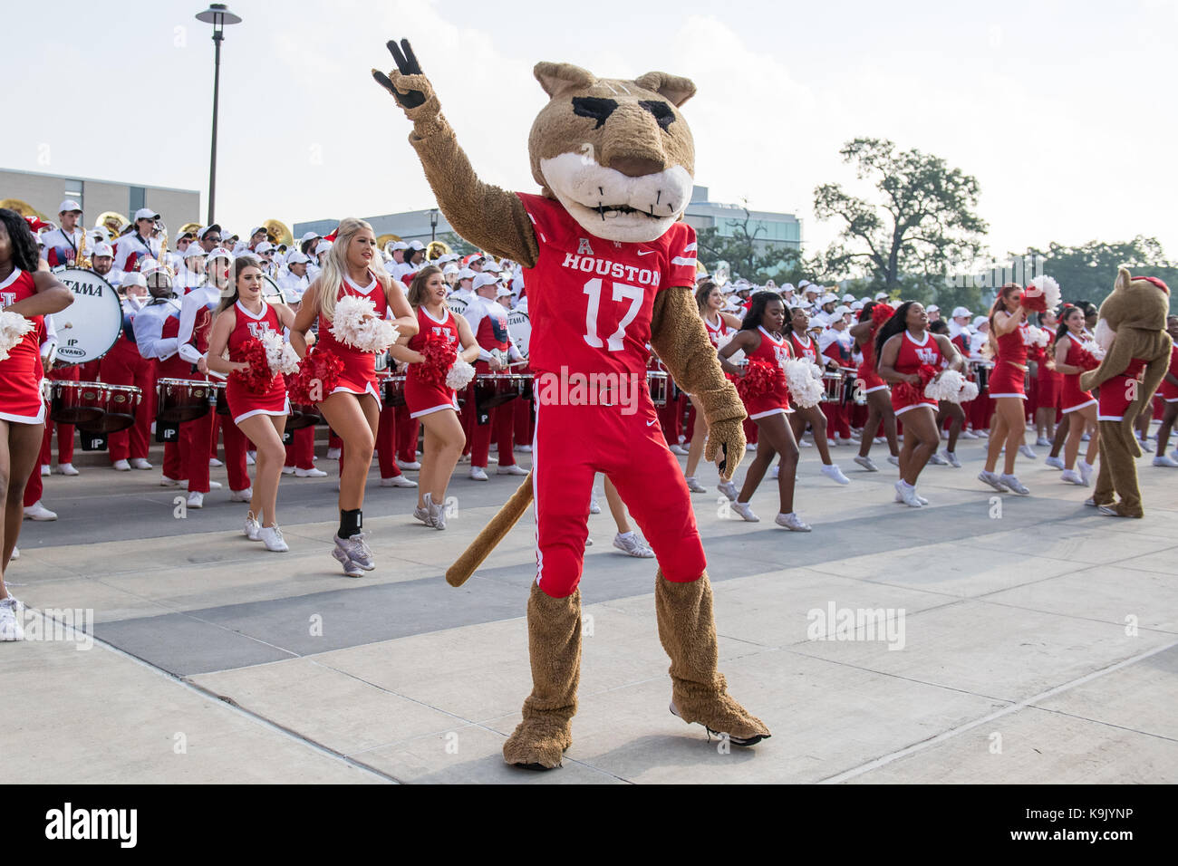 Texas Health Science University Of Houston Mascot