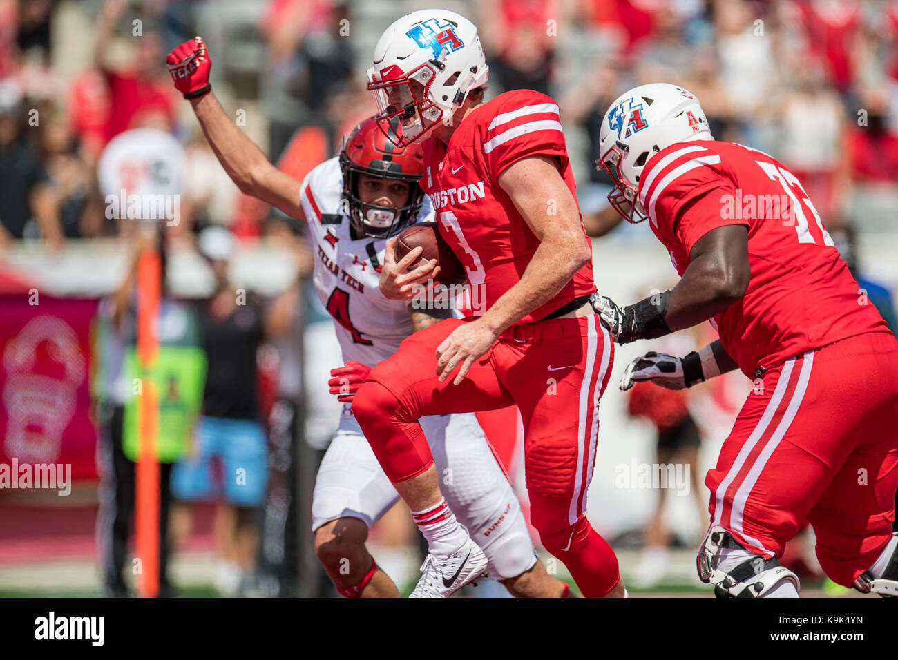 Houston cougars hi-res stock photography and images - Alamy
