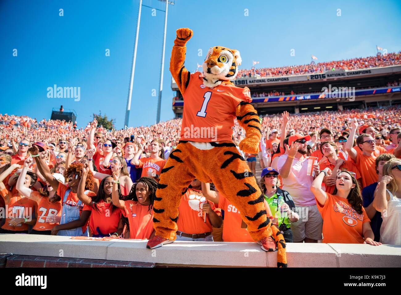 Clemson tigers mascot hi-res stock photography and images - Alamy