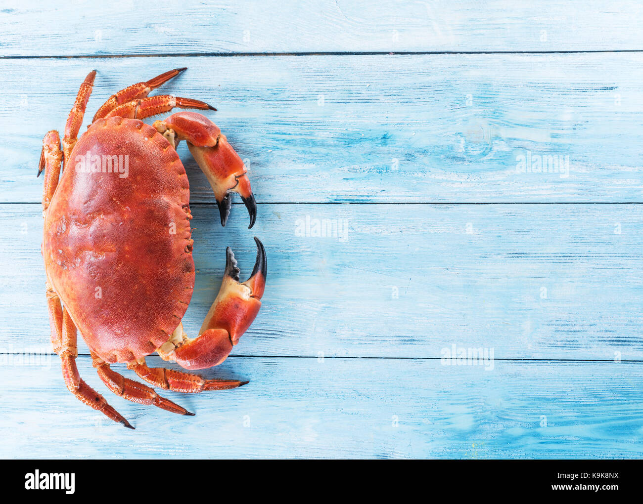 Brown crab hi-res stock photography and images - Alamy