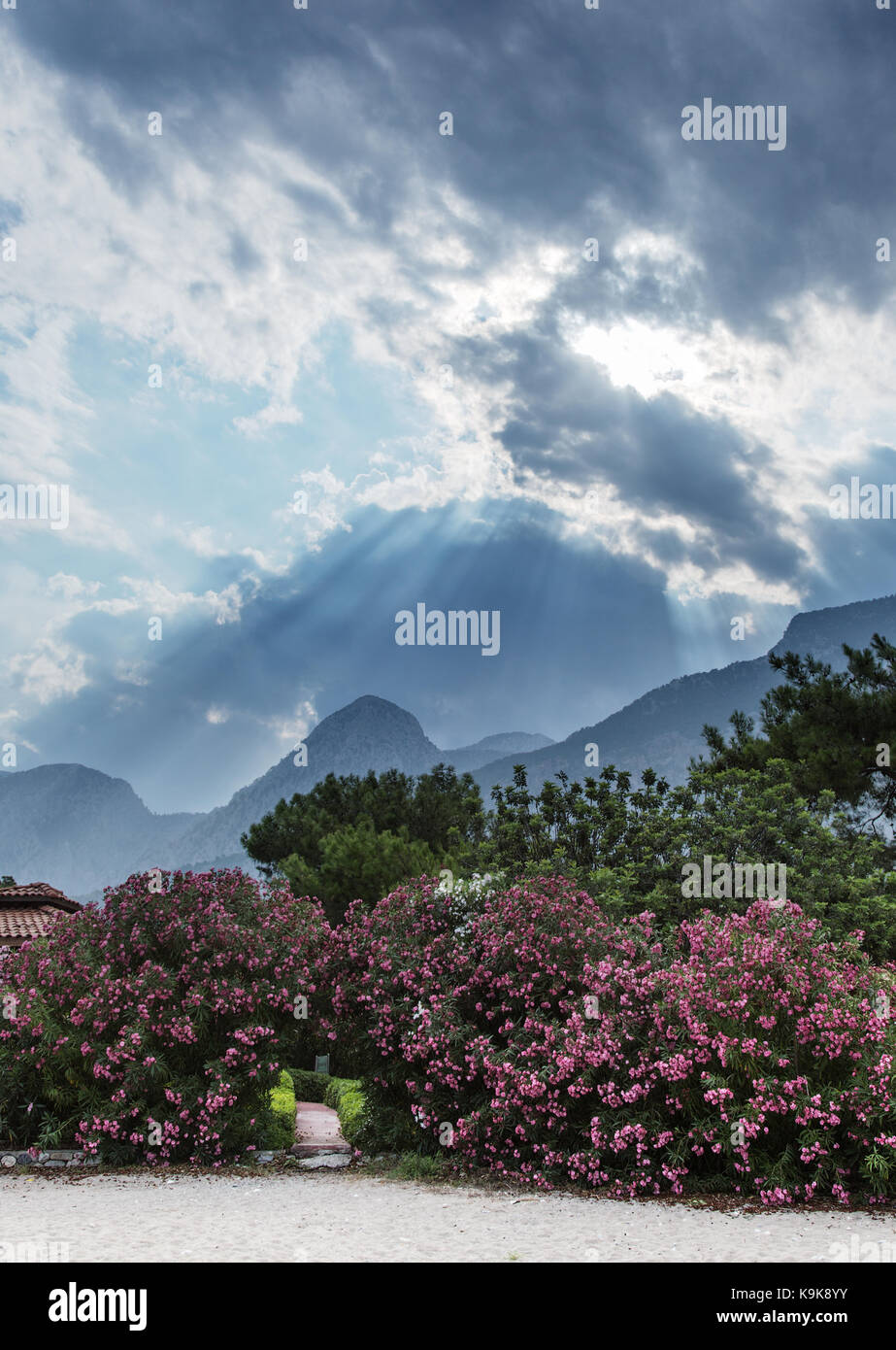Sunlight slanting hi-res stock photography and images - Alamy