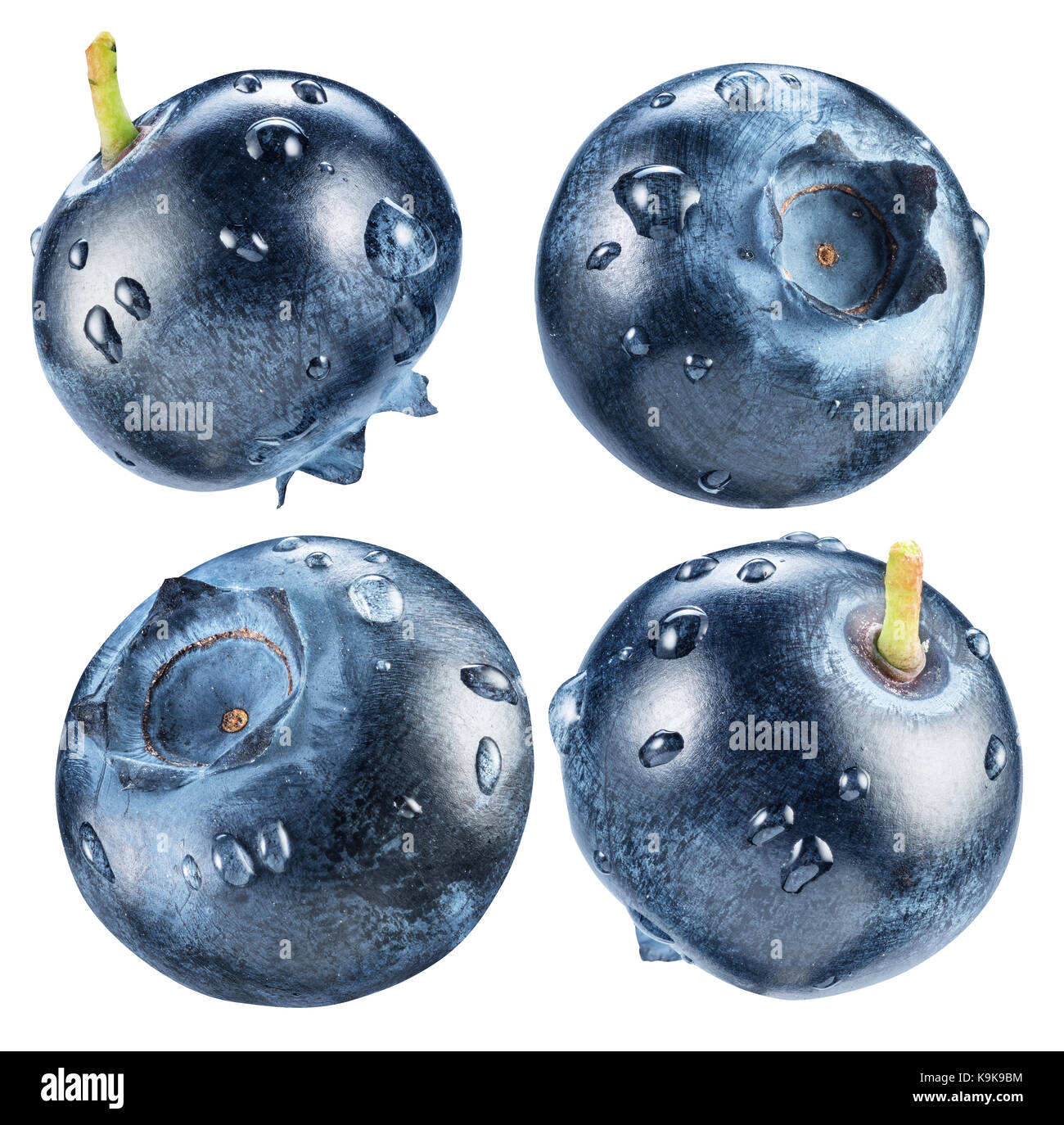 Four blueberries in different view (angles) with water drops. Macro ...