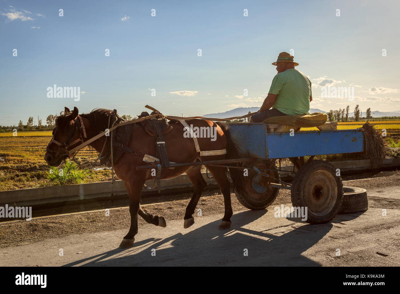 Delta work horse hi-res stock photography and images - Alamy